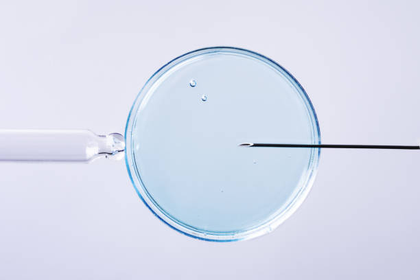 IVF Cost in USA: Affordable Fertility Treatment Options