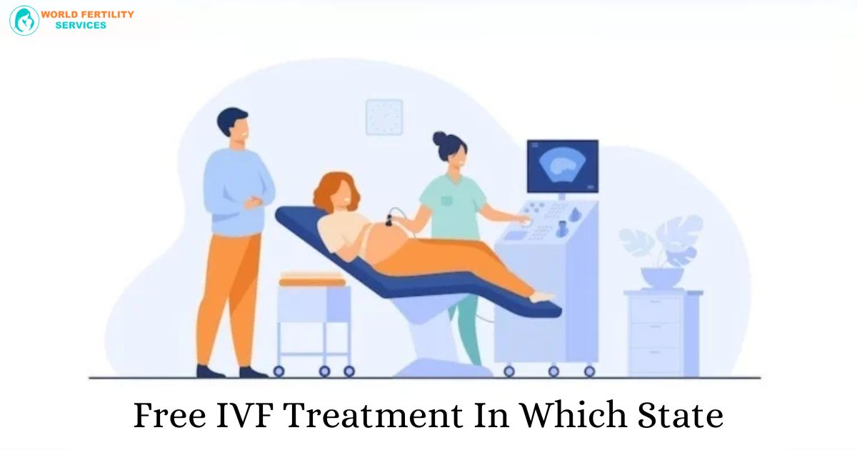 Explainer: How Will The New Publicly Funded Ivf Scheme Work? – JCDAT