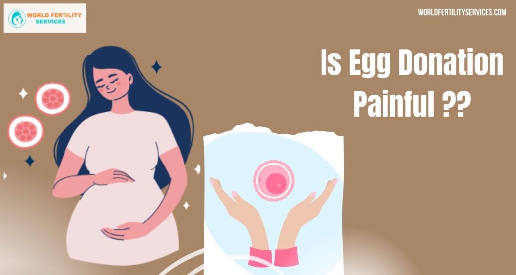Is Egg Donation Painful? Cost, Laws, & Healing 2026