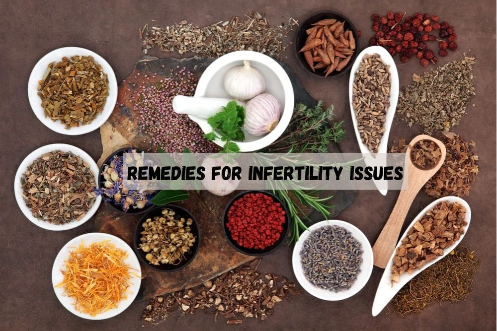 IVF Sharjah Costs, Remedy, Specialists, & Best Centers In Dubai