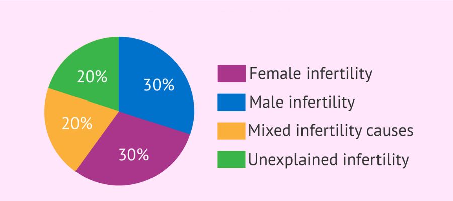 Top 10 Infertility Doctors In India For IVF Procedures 2026