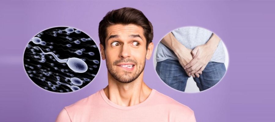 Top 10 Infertility Doctors In India For IVF Procedures 2026